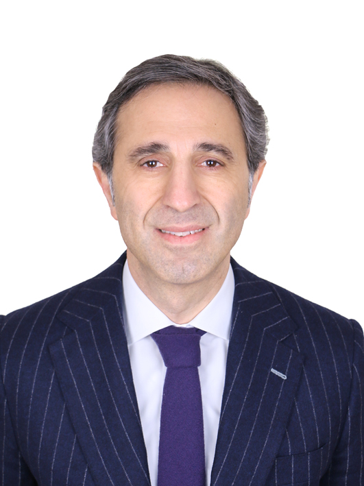 Yönetim, Denetleme, Disiplin Kurulları